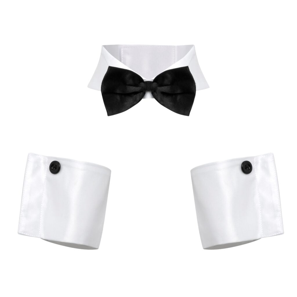 Male Stripper Collar and Cuff Kit » Let’s Spice Things Up!